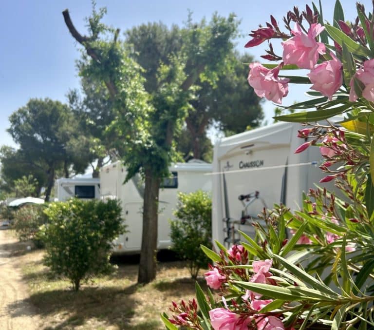Pitches - Camping Rodas | Roses | Costa brava